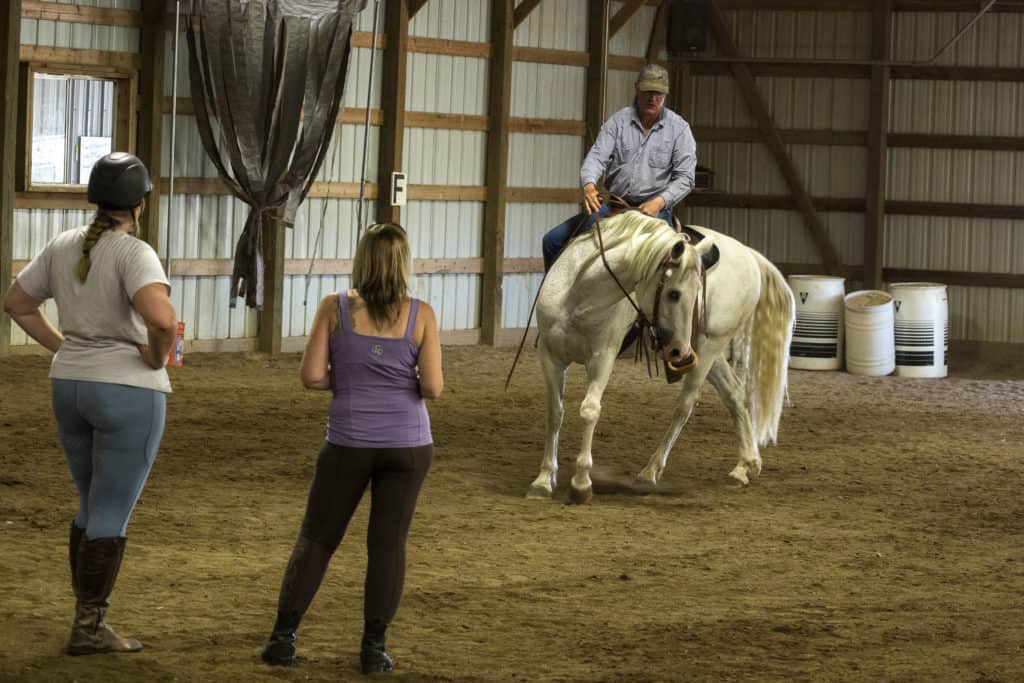 Pam Harrington's Stable Core Method™ – Improve your riding by building ...